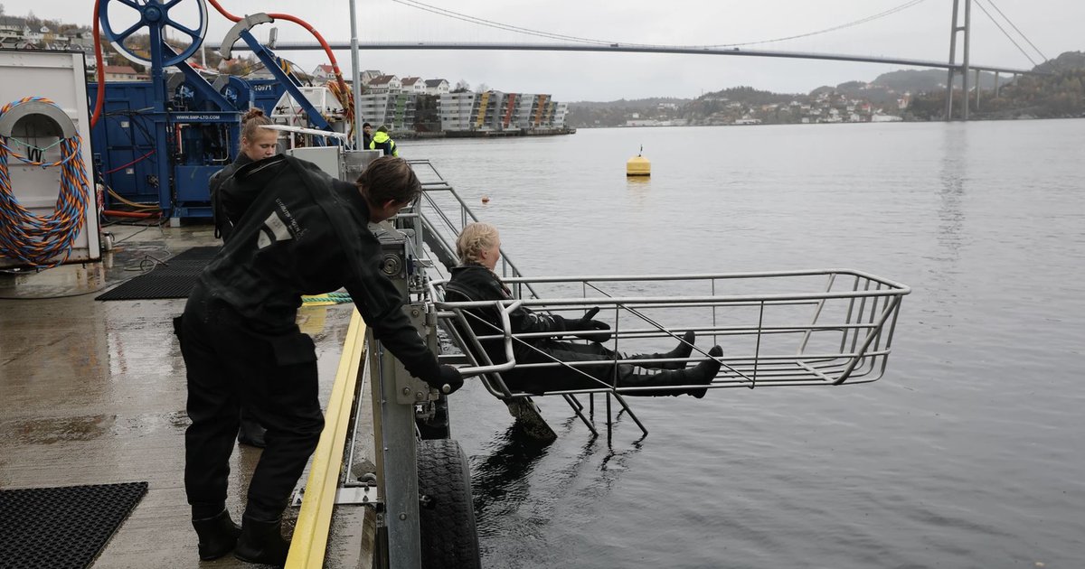 Sealift Quaylift | Sealift Systems AS